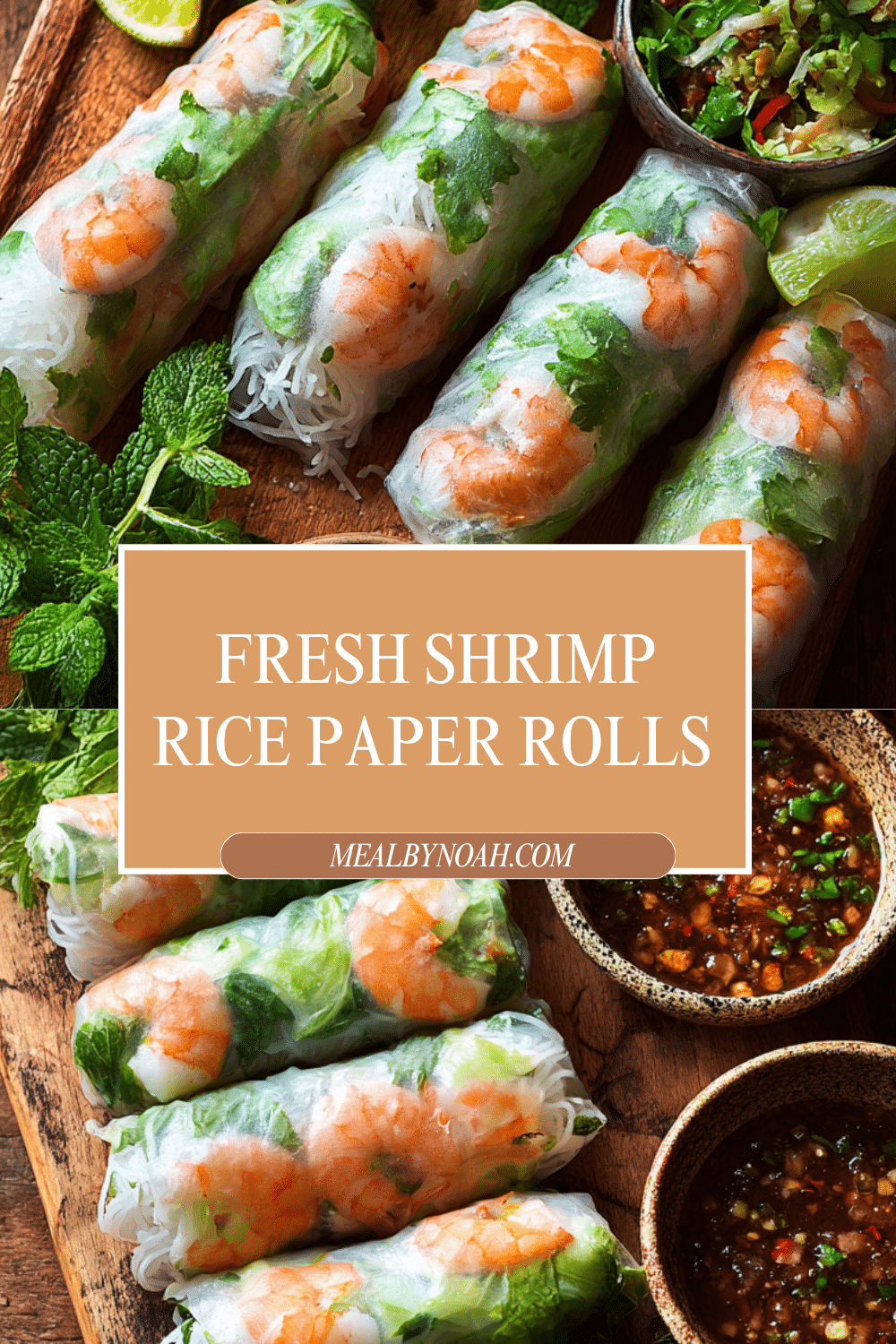 Rice Paper Recipes: Fresh & Flavorful Spring Rolls to Savor